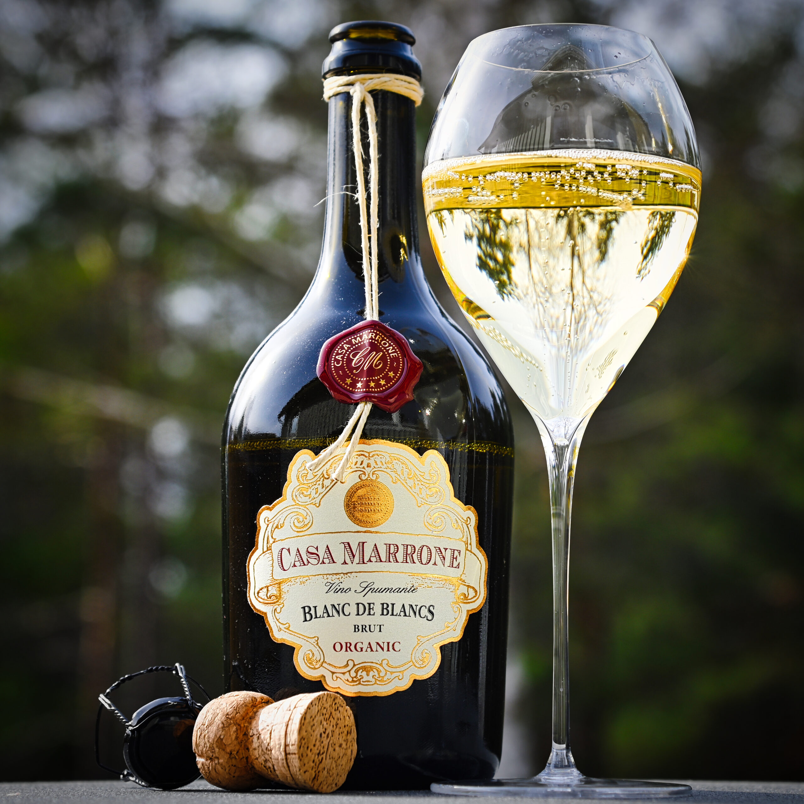 Casa Marrone Blanc de Blancs Organic Brut - Mousserande