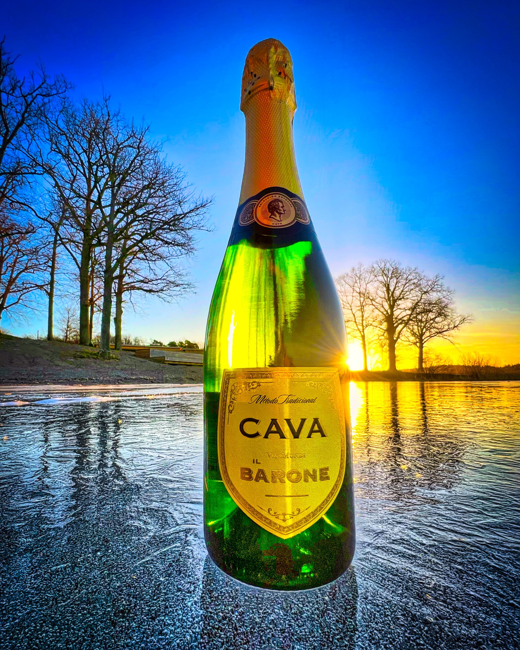 Cava - Mousserande